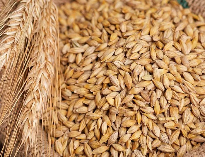 4 Heart-Healthy Carbs Dietitians Want You To Eat To Lower Your ...