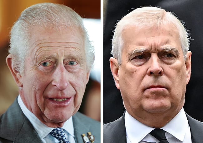King Charles Reportedly Did Not Meet Brother Ex-Prince Andrew During ...