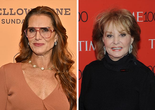 Brooke Shields Opens Up About ‘Inappropriate’ Question Barbara Walters ...