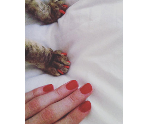 Try This New Nail Trend With Your Favorite Feline! - SHEfinds