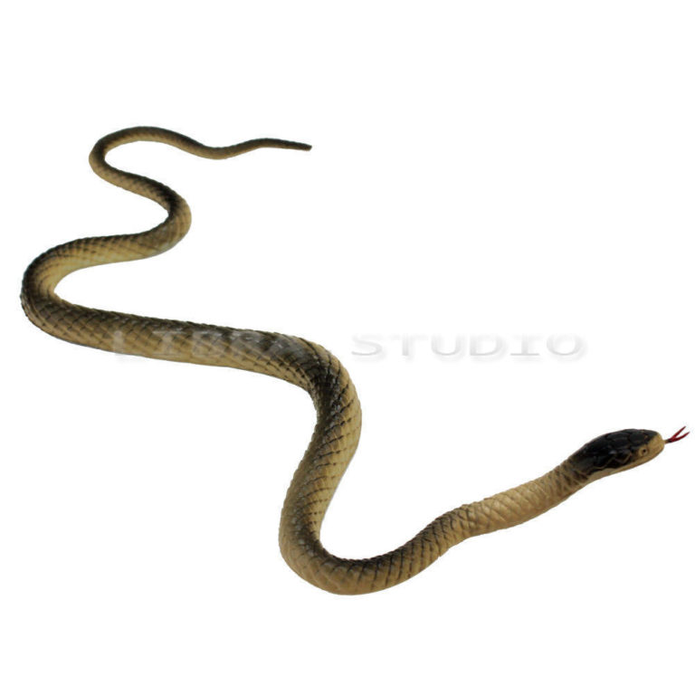 Here’s How To DIY A Taylor Swift Halloween Costume, Inspired By Her New ...