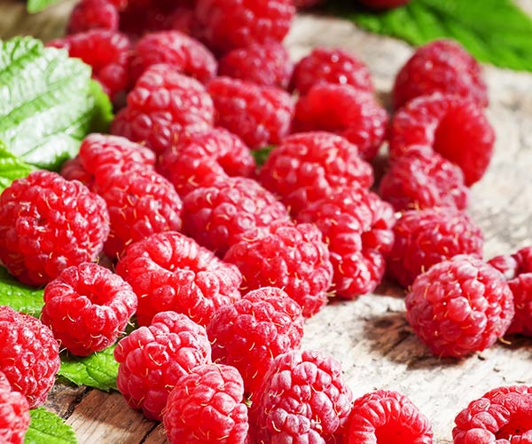 The One Calorie-Burning Food You Can Eat Every Day And Not Gain A Pound ...