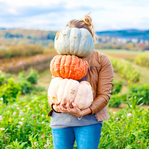 Here Is The Ultimate Fall And Thanksgiving Top–Cheap & Looks Good On ...