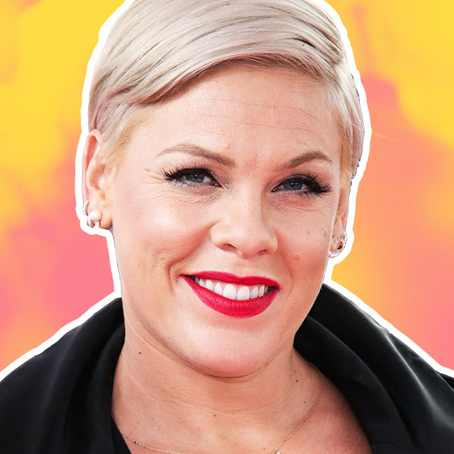Pink Just Dropped This MAJOR Bombshell About Her Family–We’re So ...