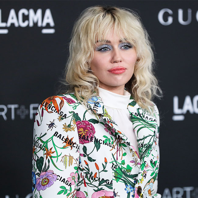 Miley Cyrus Is Wearing A Dress With Sheer Mesh Cutouts On Instagram–You ...