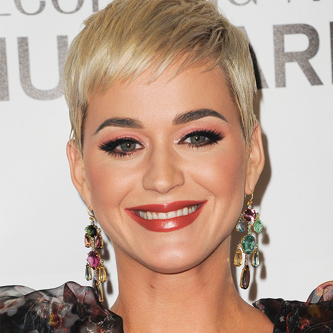 Katy Perry Put Her Curves On Full Display In This Red Latex Bodysuit On ...