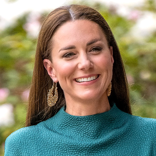 ‘Normal’ Celebrity Beach Bodies - SHEfinds