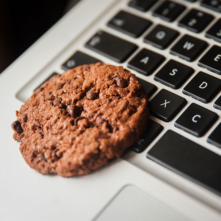 Women’s Fashion, Beauty & Lifestyle – SHEfinds