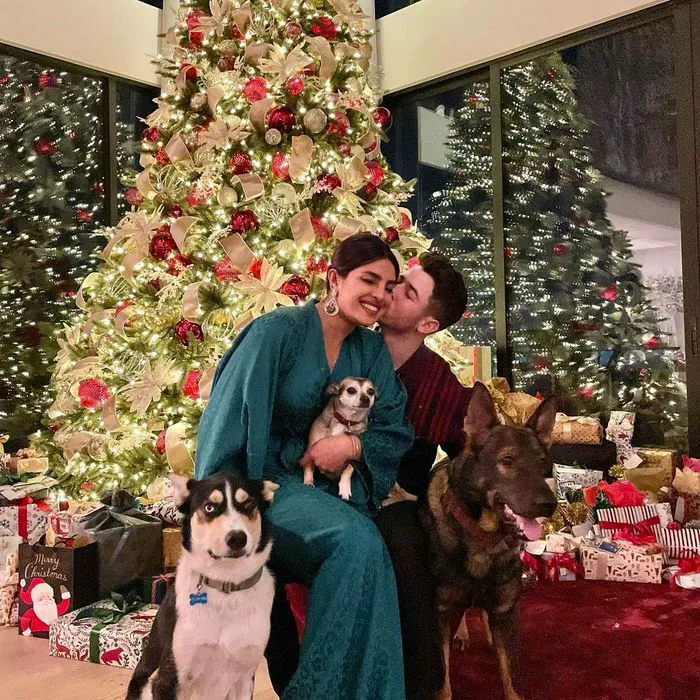 The 12 Best Celebrity Christmas Trees For A Jolly Season - SHEfinds