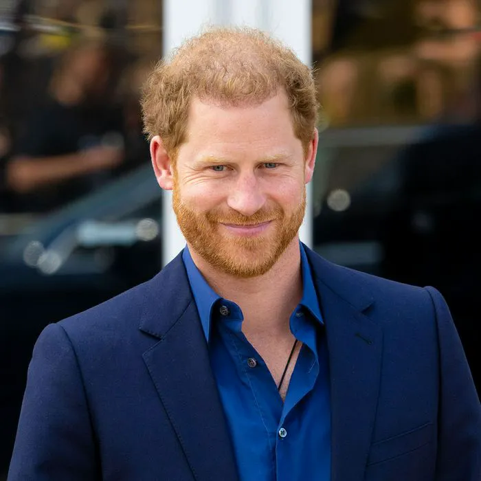 Fans Are Calling Prince Harry Out For Misusing Royal Titles In ...