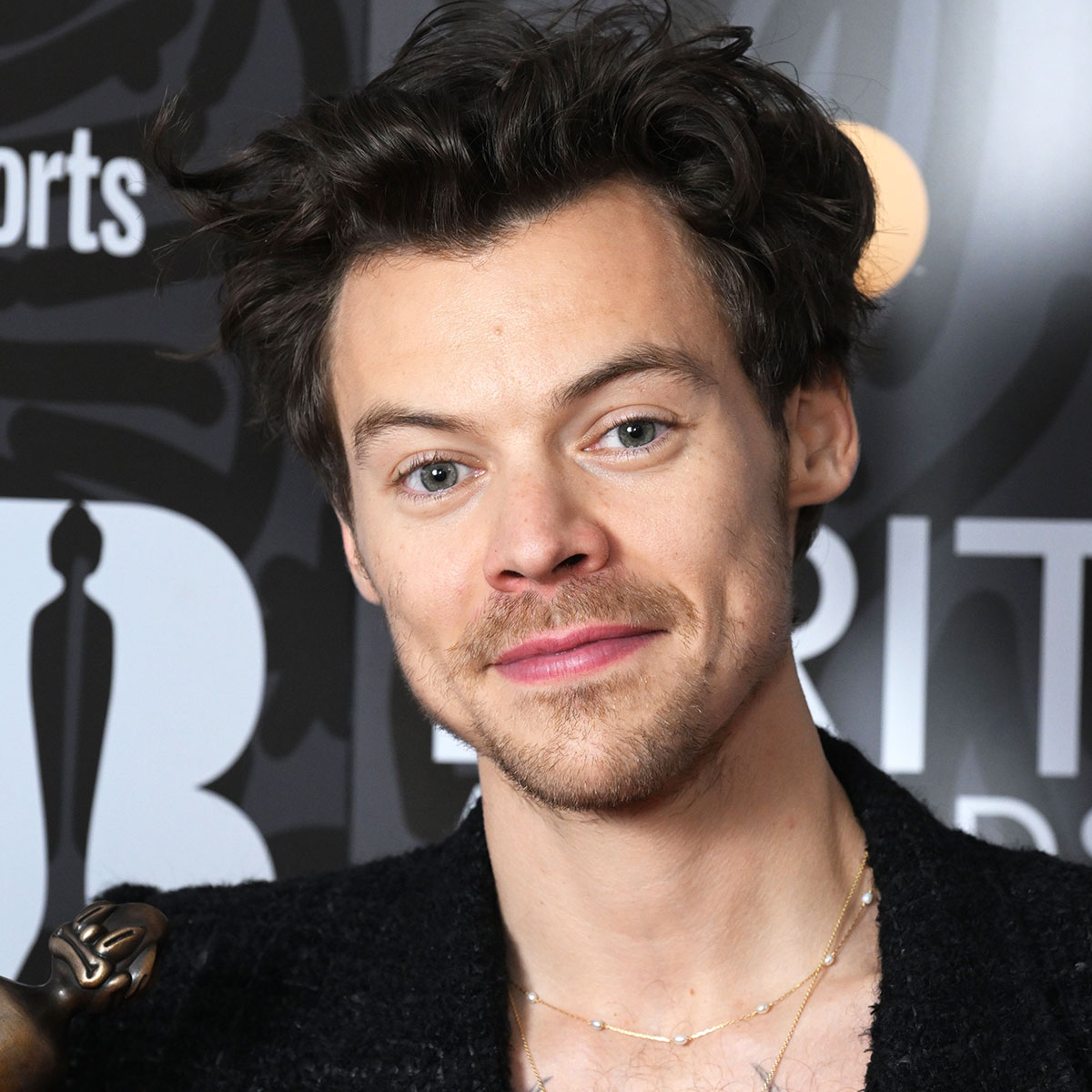 Fans Think Harry Styles Looks ‘Unrecognizable’ With New Buzzcut Hair ...