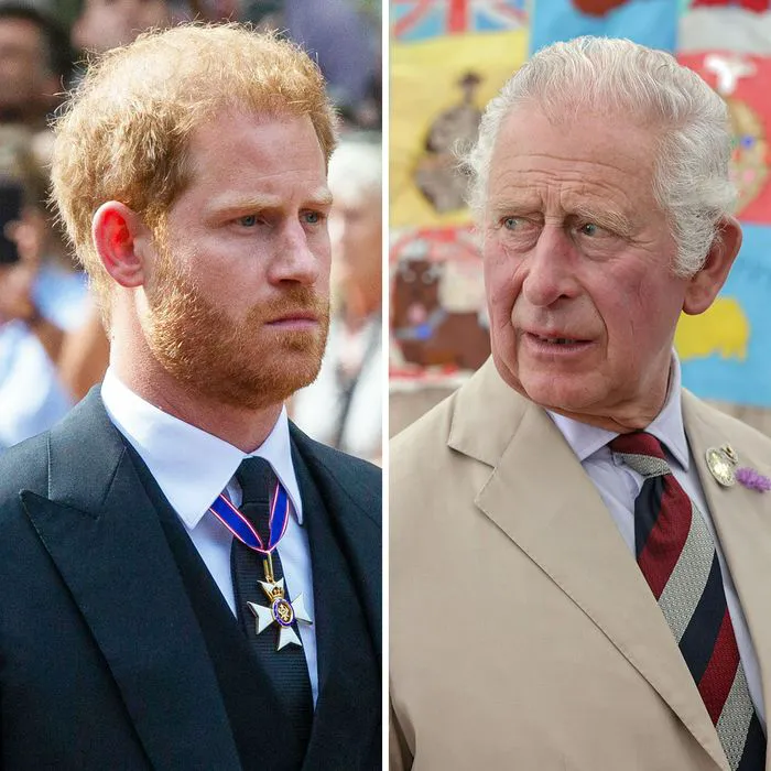 The Final Straw That Made King Charles ‘Cut Off’ Prince Harry ...