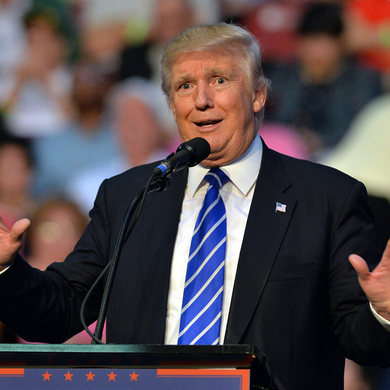 Donald Trump’s Lawyer Reveals In New Court Docs That He ‘Absolutely ...