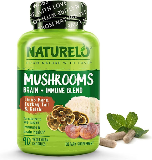 Our Guide To The Best Mushroom Supplements Of 2024 - SHEfinds