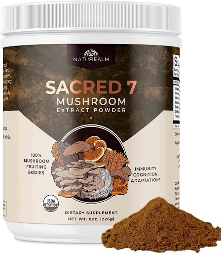 Our Guide To The Best Mushroom Supplements Of 2024 - SHEfinds
