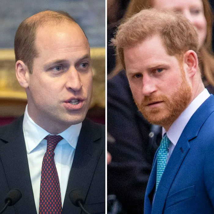Prince William Is Reportedly ‘Anxious’ For Prince Harry To Return To ...