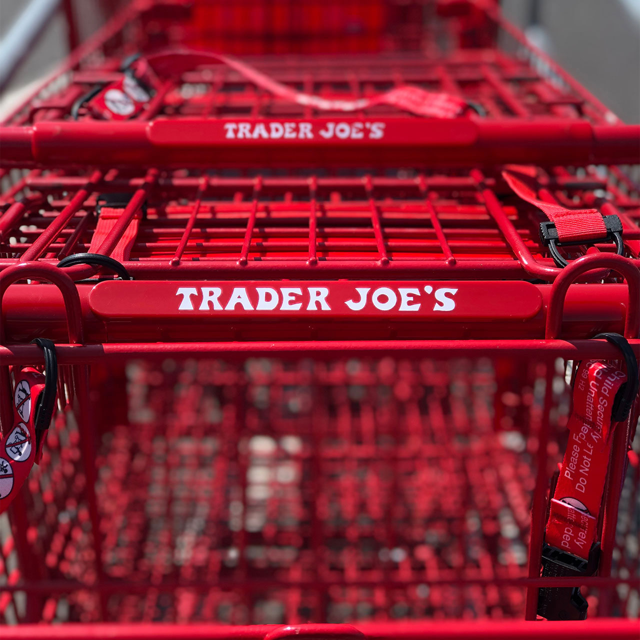 9 Best Trader Joe’s Items To Add To Your Cart This Week - SHEfinds