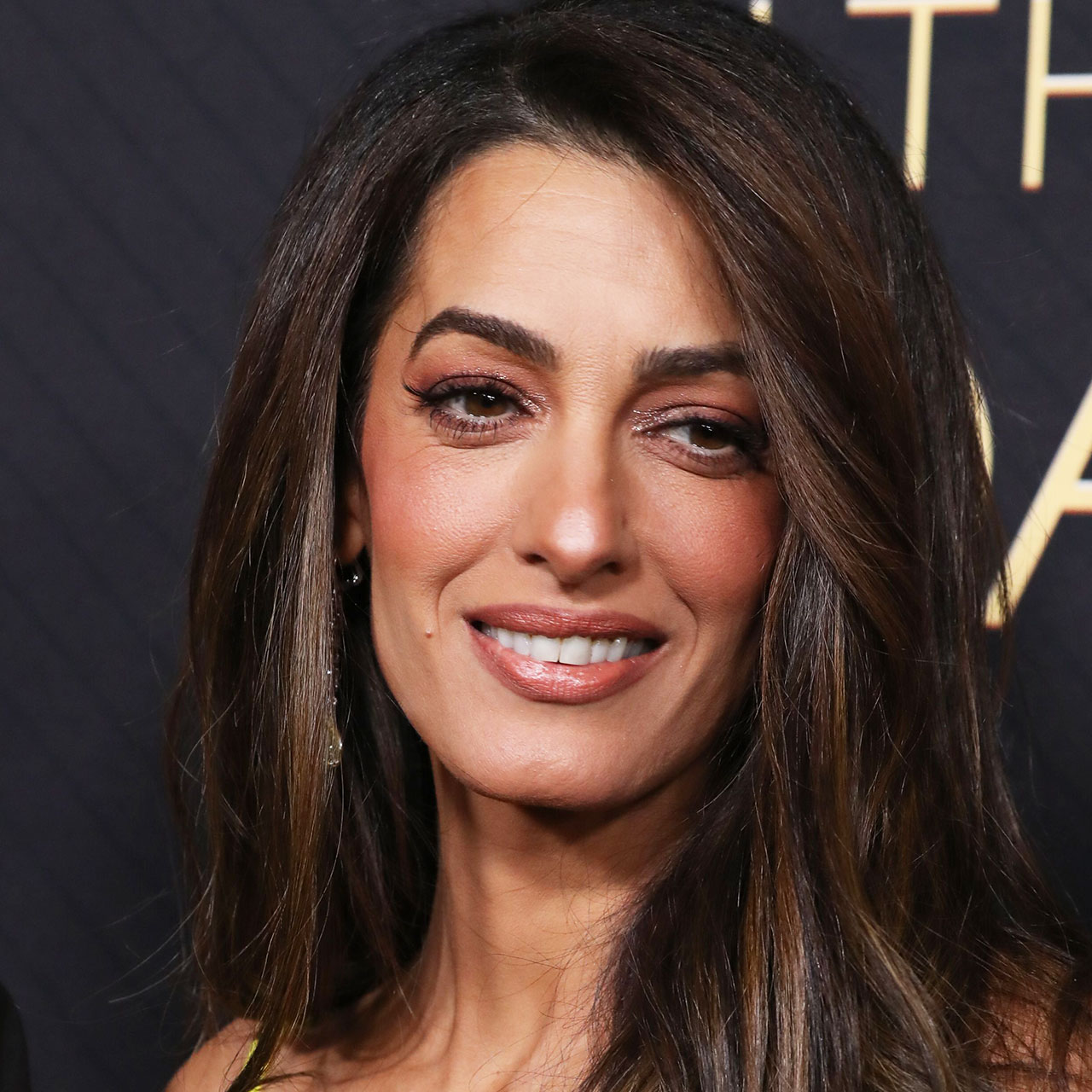 Amal Clooney's Instagram, Twitter & Facebook on IDCrawl