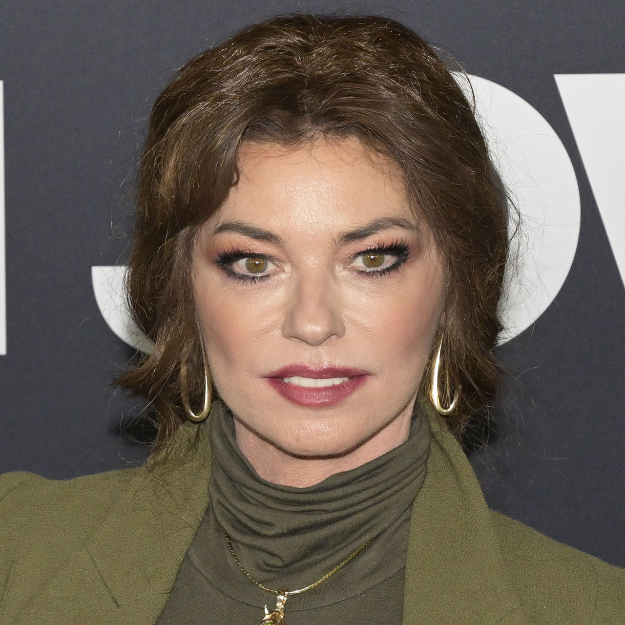 Shania Twain Looks ‘Unrecognizable’ As She Goes Makeup-Free In New ...