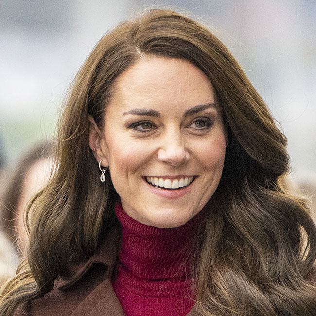 Michael Bolton Gives Fans An Update On His Health Status After Devastating Brain Cancer ...