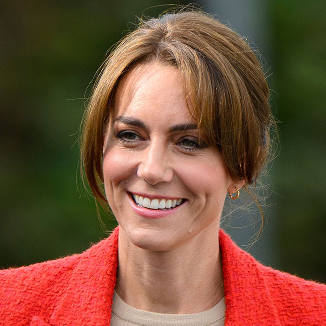 Madonna Looks ‘Unrecognizable’ Now—A Plastic Surgeon Weighs In - SHEfinds