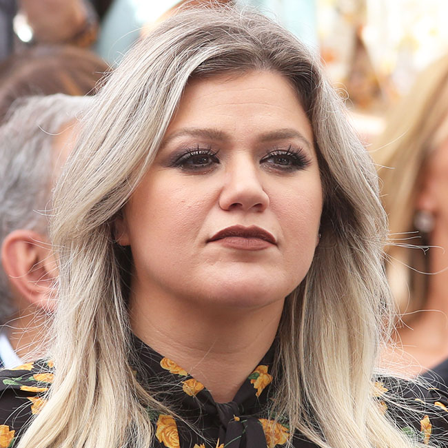 Michael Bolton Gives Fans An Update On His Health Status After Devastating Brain Cancer ...