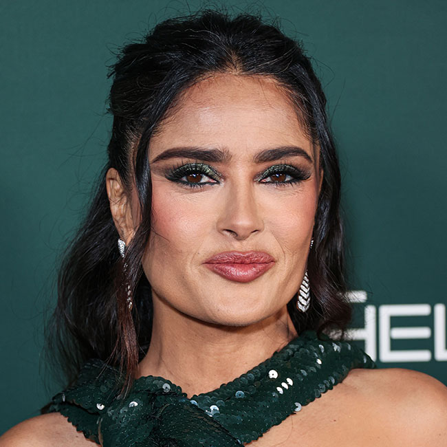 The Year Of The Sheer! Completely See-Through Dresses That Rocked The ...