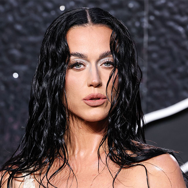 Michael Bolton Gives Fans An Update On His Health Status After Devastating Brain Cancer ...