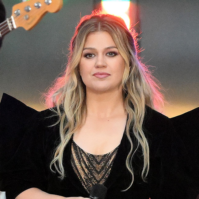 Michael Bolton Gives Fans An Update On His Health Status After Devastating Brain Cancer ...